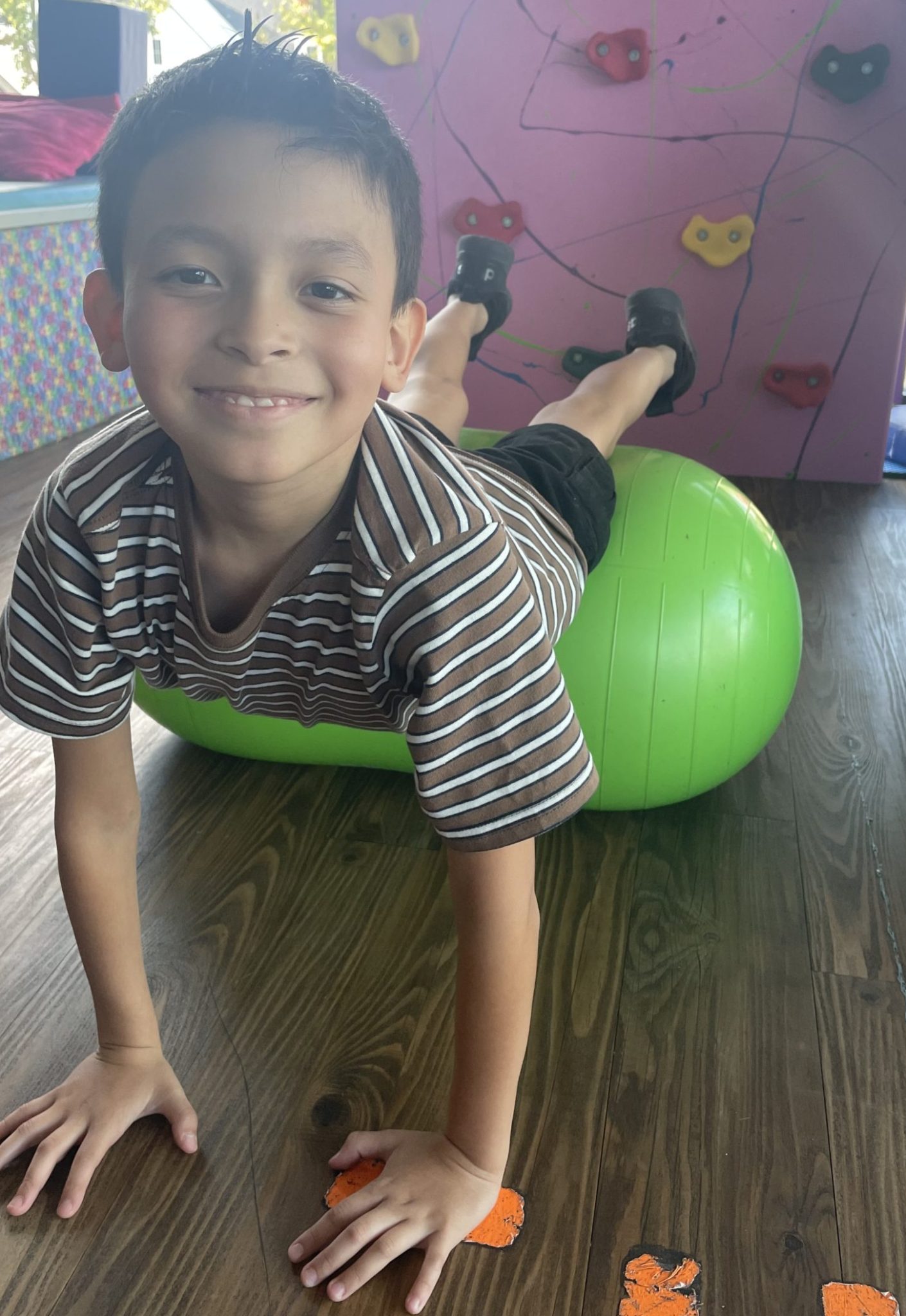 Toys that Teach! Peanut Ball - Therapy Innovations